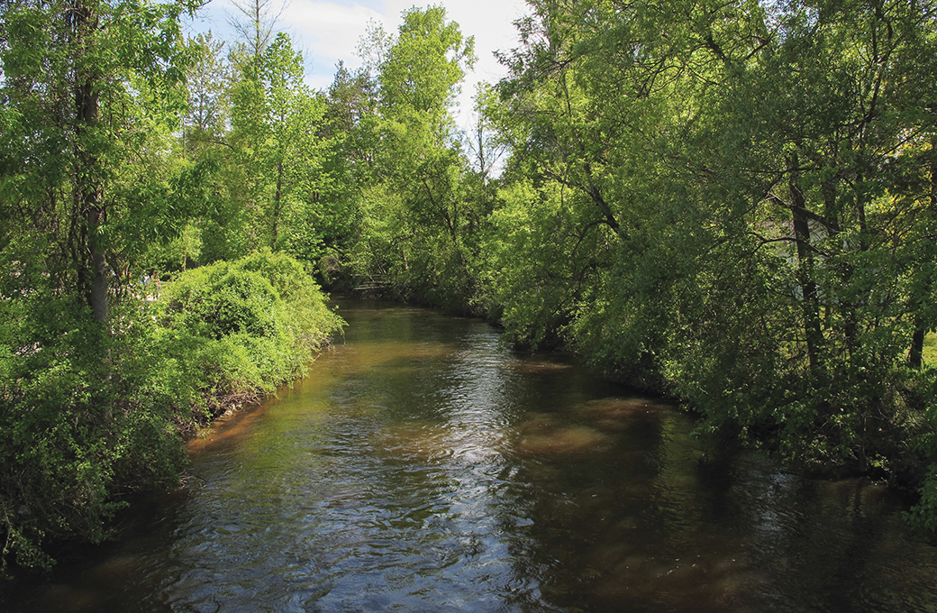 Gladwin County: Michigan’s Backyard — Michigan Snowmobiler & ORV